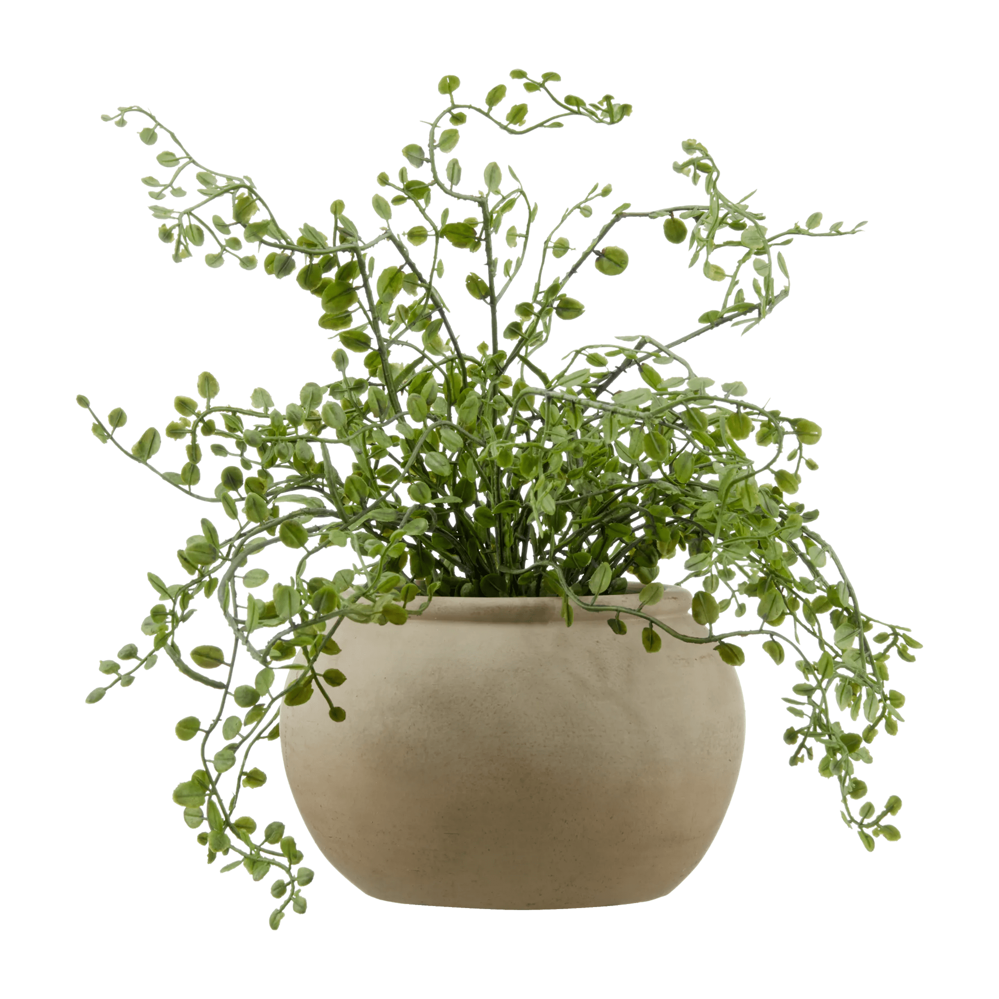 All Greenery Options | Faux Decor Canada | Bouclair