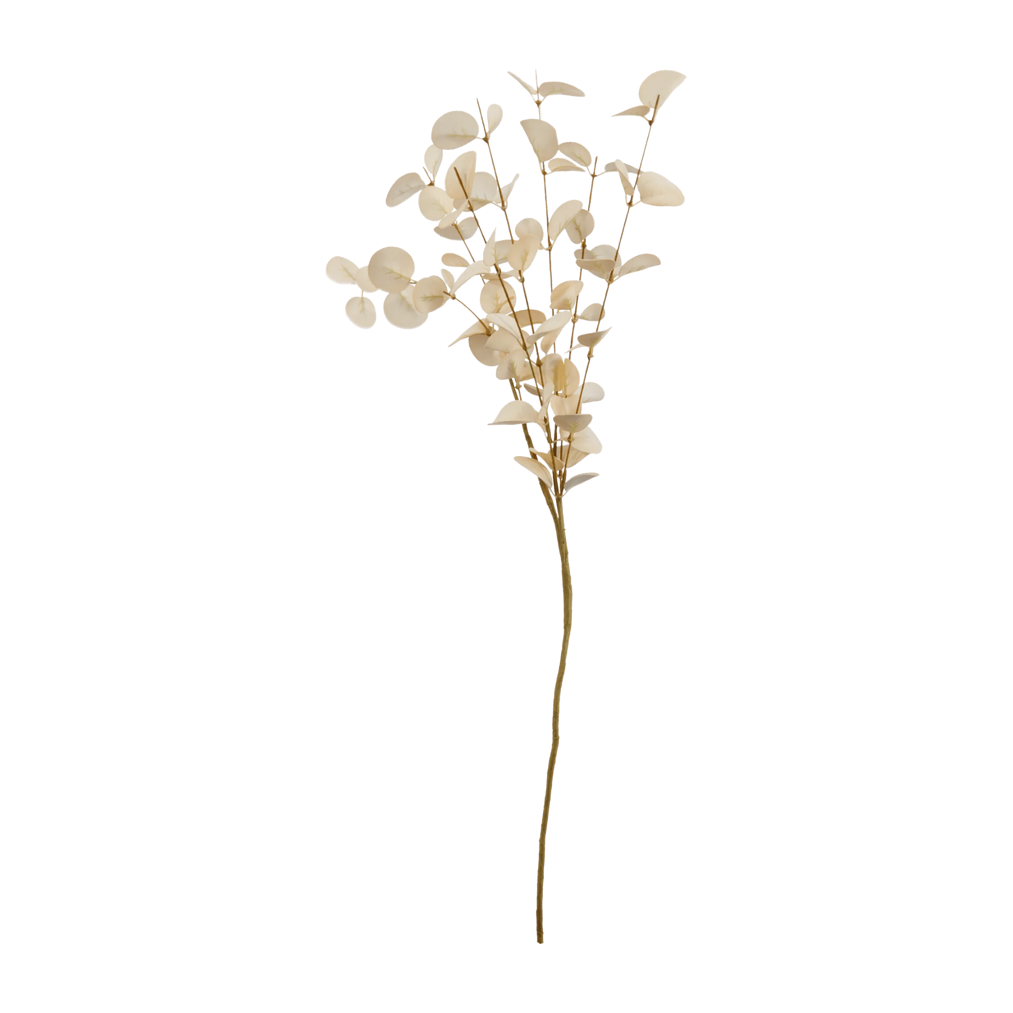 Artificial Eucalyptus Leaf Stem – Bouclair